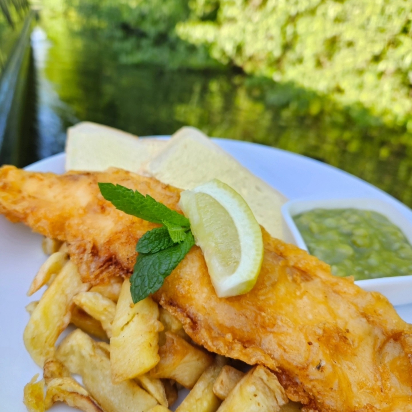 NEW Judith Mary 2 Cruise with Fish and Chips